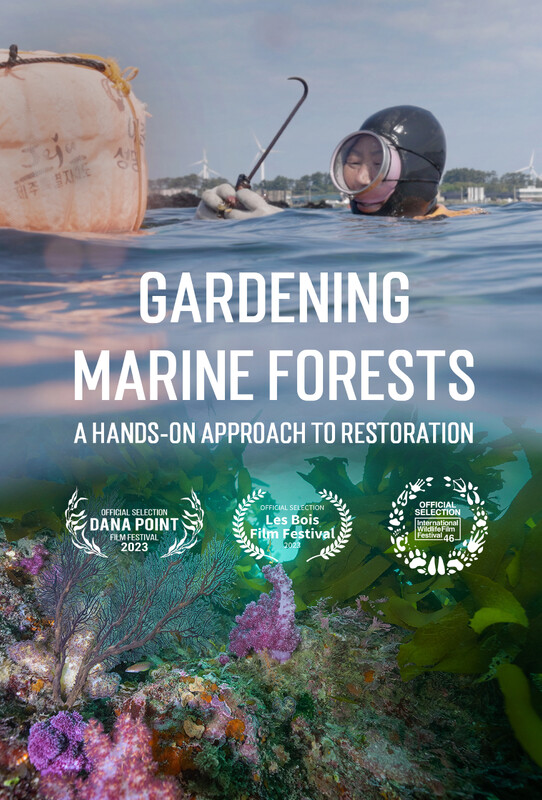 Interview with Filmmaker Stefan Andrews (GARDENING MARINE FORESTS ...